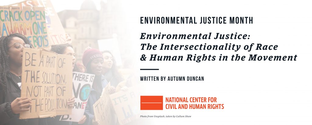 Environmental Justice: The Intersectionality of Race and Human Rights ...